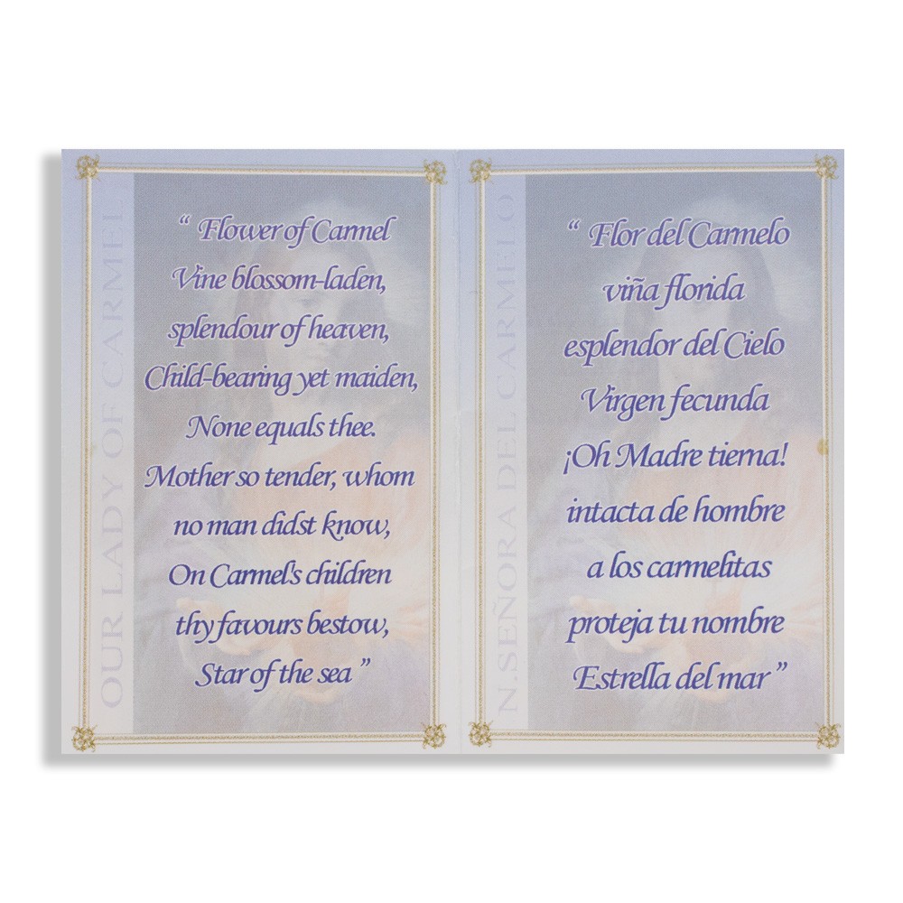 Scapular Our Lady of Mount Carmel and Sacred Heart of Jesus